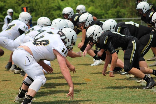 [PHOTOS] SylacaugaNews.Com Spring Football Breakdown: Fayetteville High ...